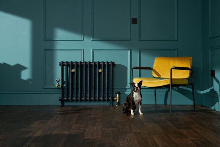 One-Pipe Steam Radiators And Valves by Castrads